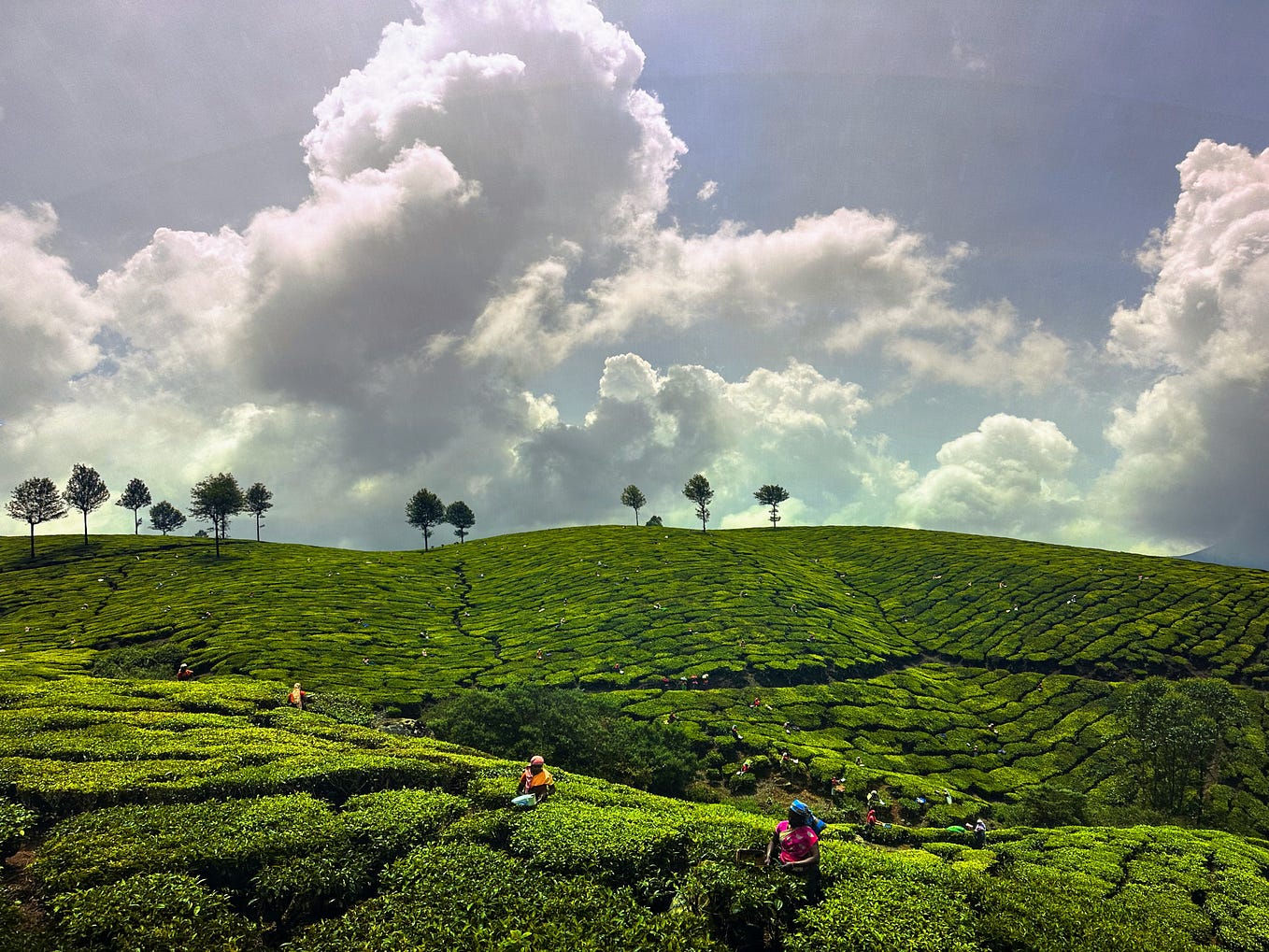 Perform Your Data Quality Checks with A Single Line of Code | by Balu ...