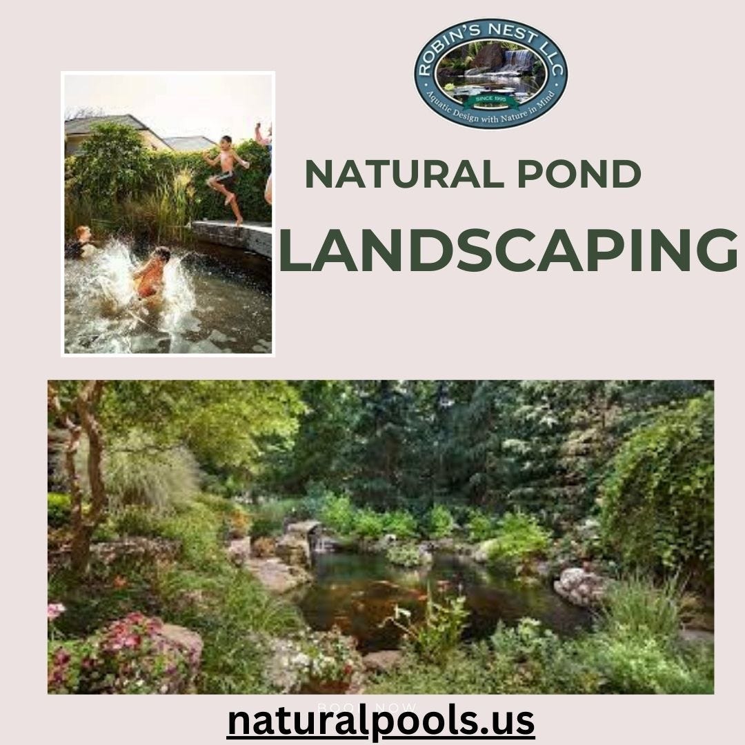 Pools That Look Like Ponds - Robin’s Nest Aquatics - Medium