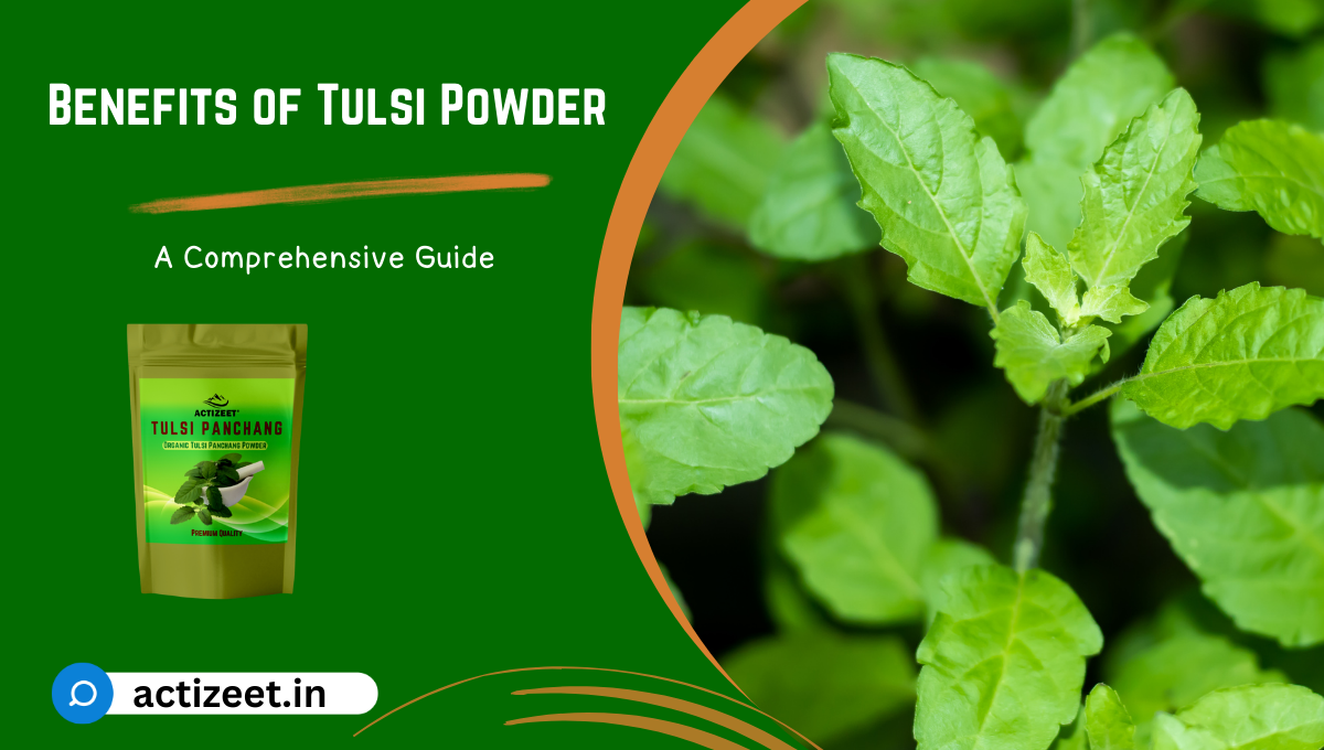 How to Use Tulsi Powder: A Detailed Guide for Optimal Health Benefits ...