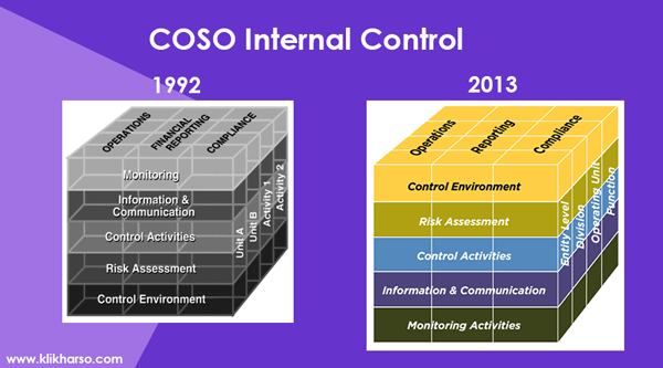 Control Objective for Information and related Technology (COBIT) & COSO Enterprise Risk ...