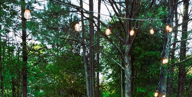 The Watered Down Version by Angela Carlton at Spillwords.com | by ...