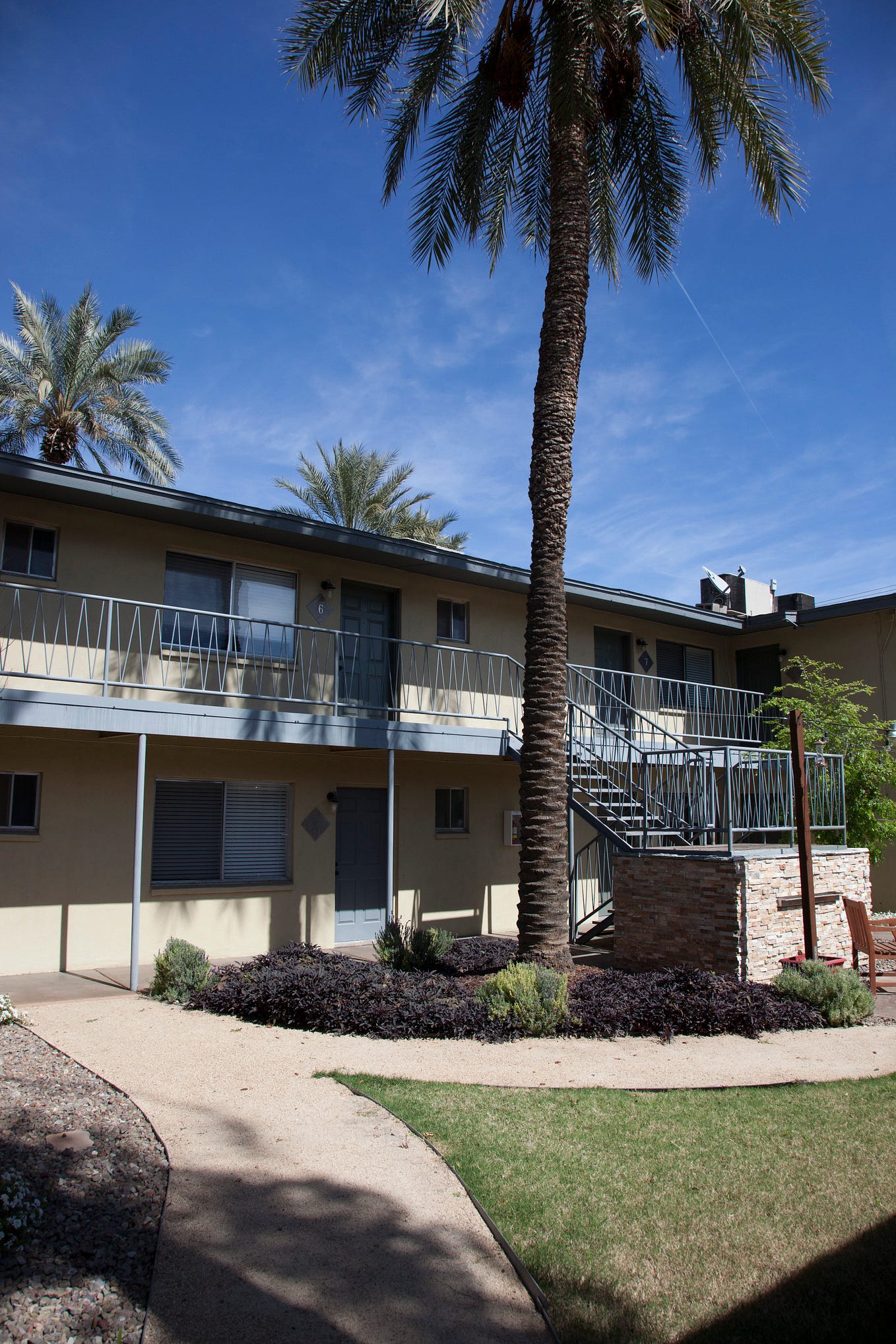 Elm Tree Recovery. Elm Tree Recovery | by Adam McLean | Medium