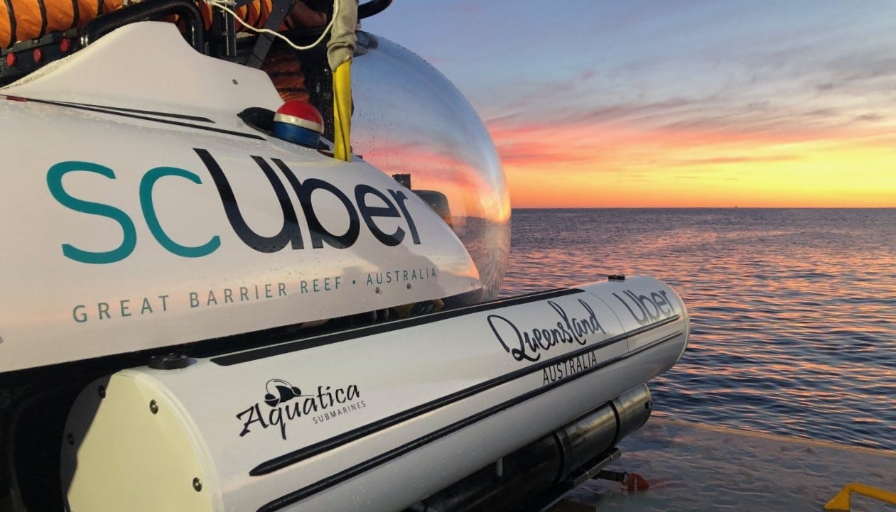 Aquatica Newsletter. January 2019 — A Year in Review | by Erika Bergman ...
