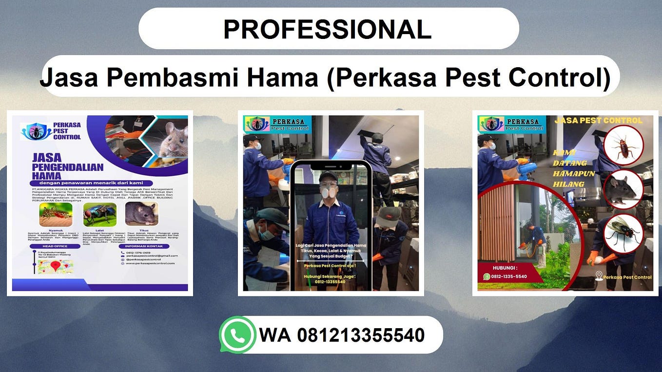 Jasa Pest Rodent Control Pembasmi Hama Di Jakarta - risman dado - Medium