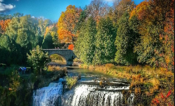 Dr. Parag Vora’s Travel Diary- A Visit to Jasper and Niagara Falls | by ...