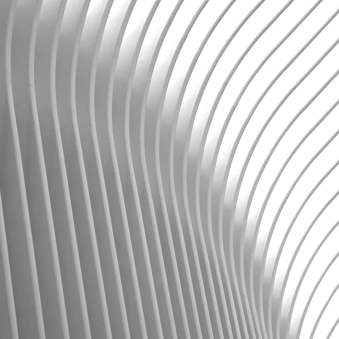 03 Modern Mindset principle: Perspective | by Sentient Observer | Medium