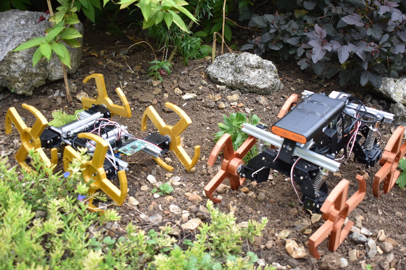 Evolving a robot to walk using Python | by Dexter Shepherd | Towards ...