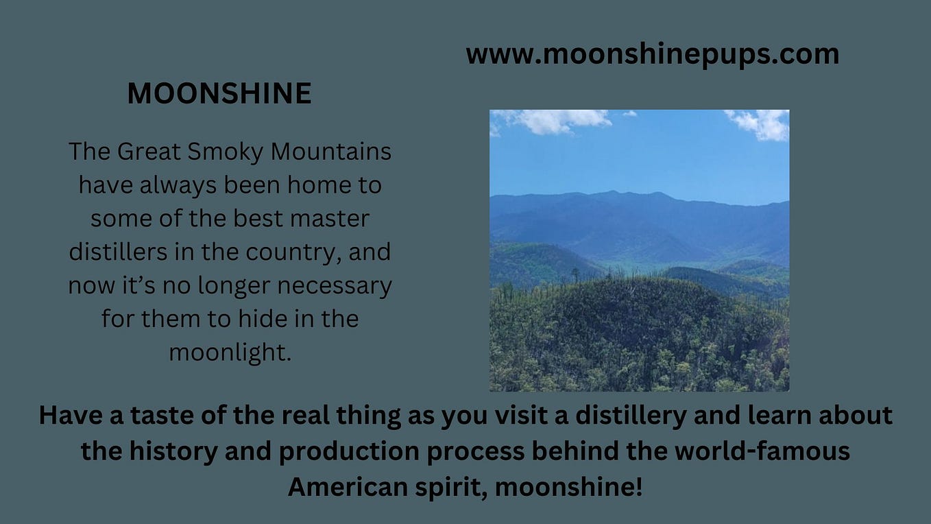 Smoky Mountain Tours - Moonshine Pups - Medium