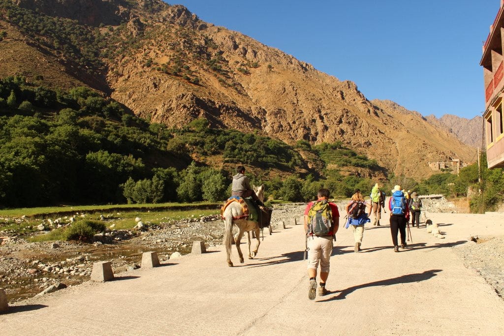 From Majestic Desert Landscapes to Historic Cities: The Allure of a ...