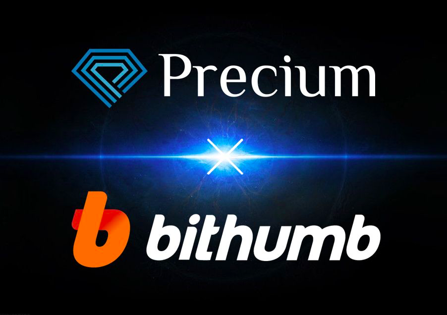 Private vs Public Blockchain: Differences and Applications | by Precium Foundation | Medium
