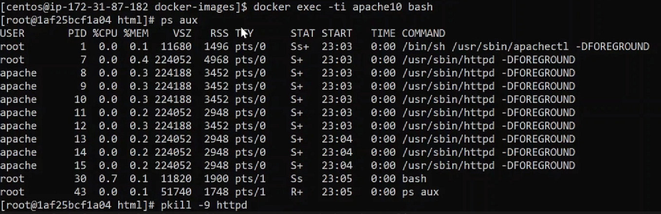Building a Docker Image with Non-Root User Permissions: A Step-by-Step Guide | by Vishisht ...