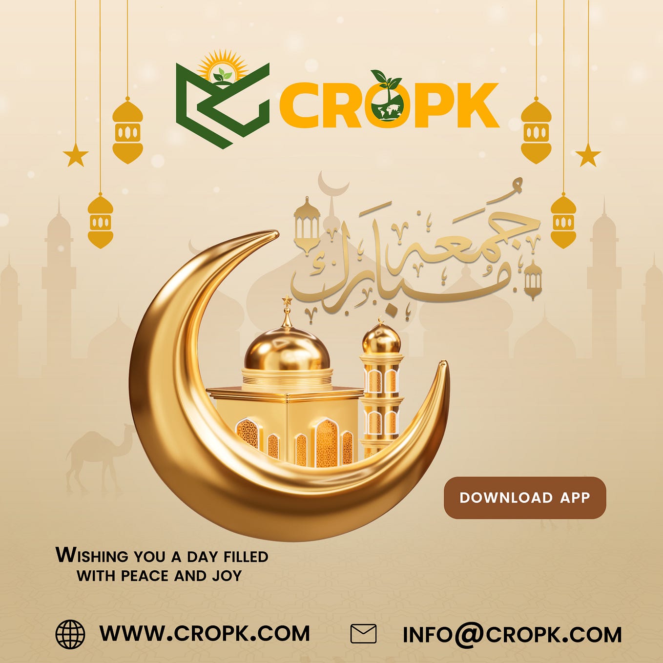 DOWNLOAD APP: https://play.google.com/store/apps/details?id=com.cropk ...