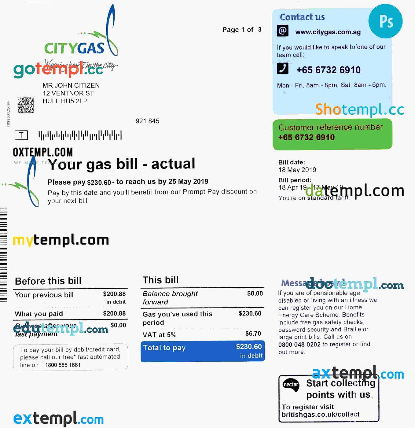 Singapore City Gas utility bill template in Word and PDF format | by ...
