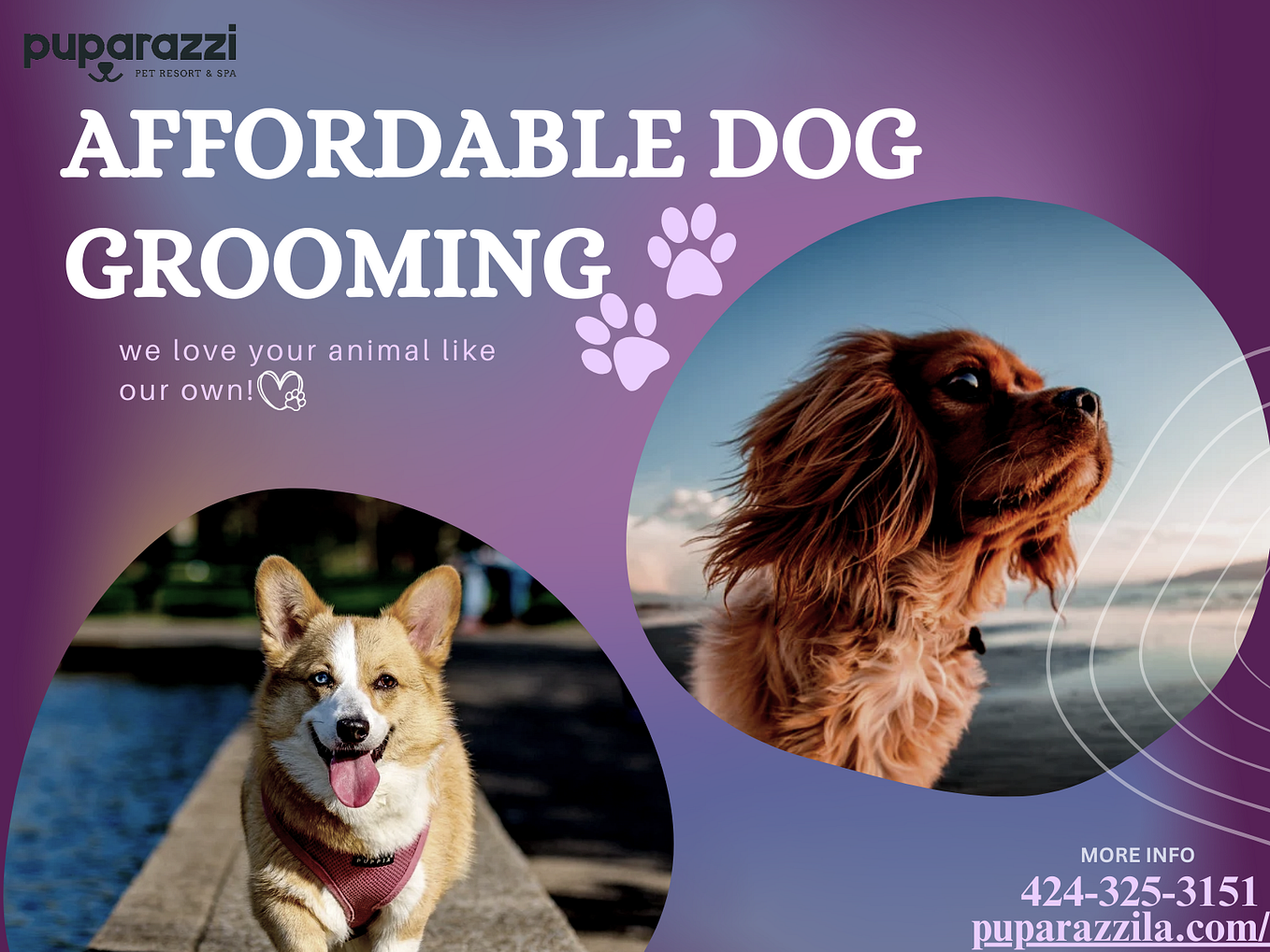 The Ultimate Guide to Pet Grooming in Los Angeles, CA: Tips from the ...