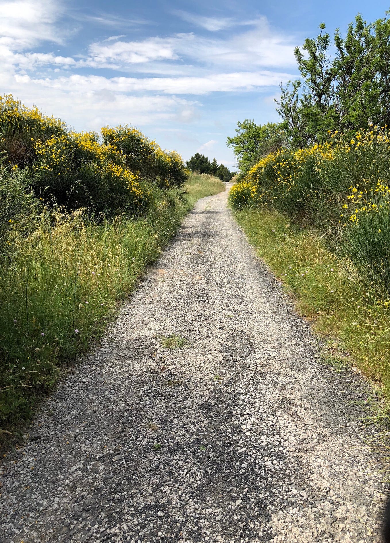 How to make your own font.. Design your very own professional font… | by Jason Burkholder | Medium