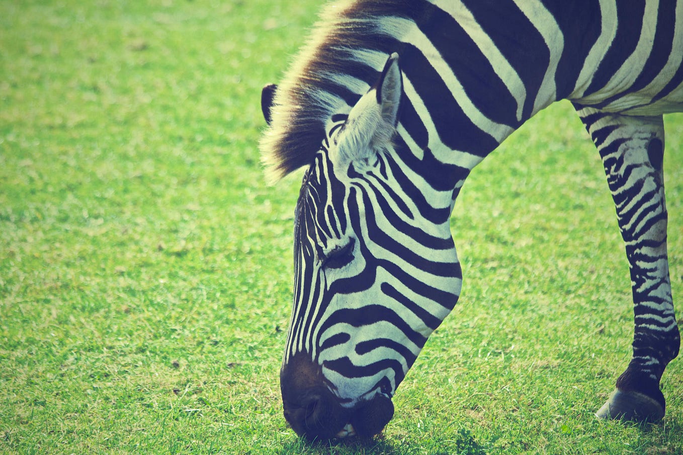 20 Markets That Publish Humor Writing | by Julie Vick | The Writing ...