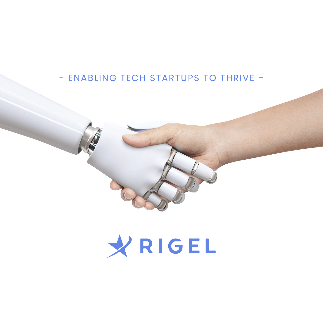 Planting the Seeds: A Look Back at Rigel’s First Year | by Rigel ...