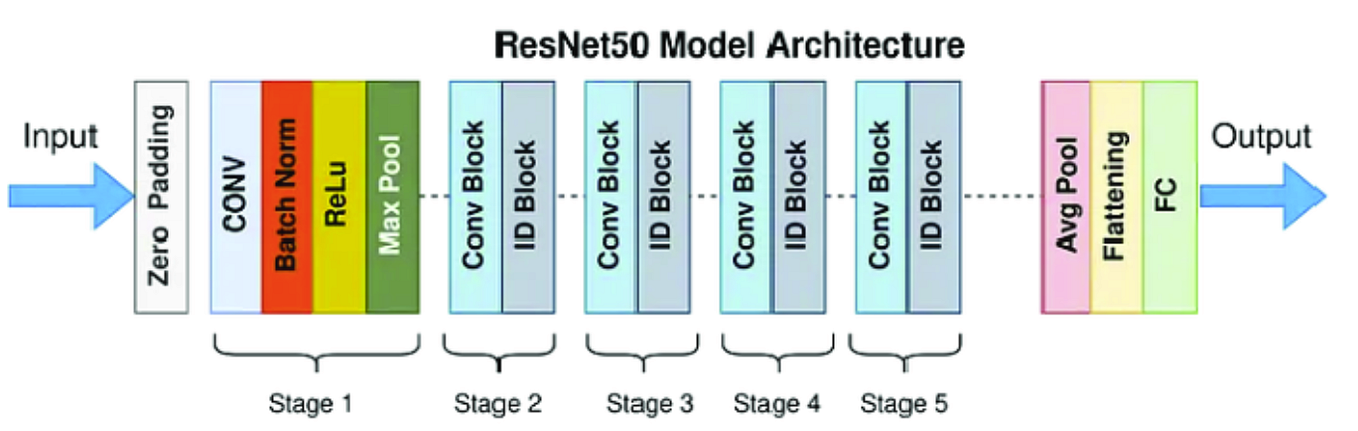 How to Train a Custom Keypoint Detection Model with PyTorch | Medium