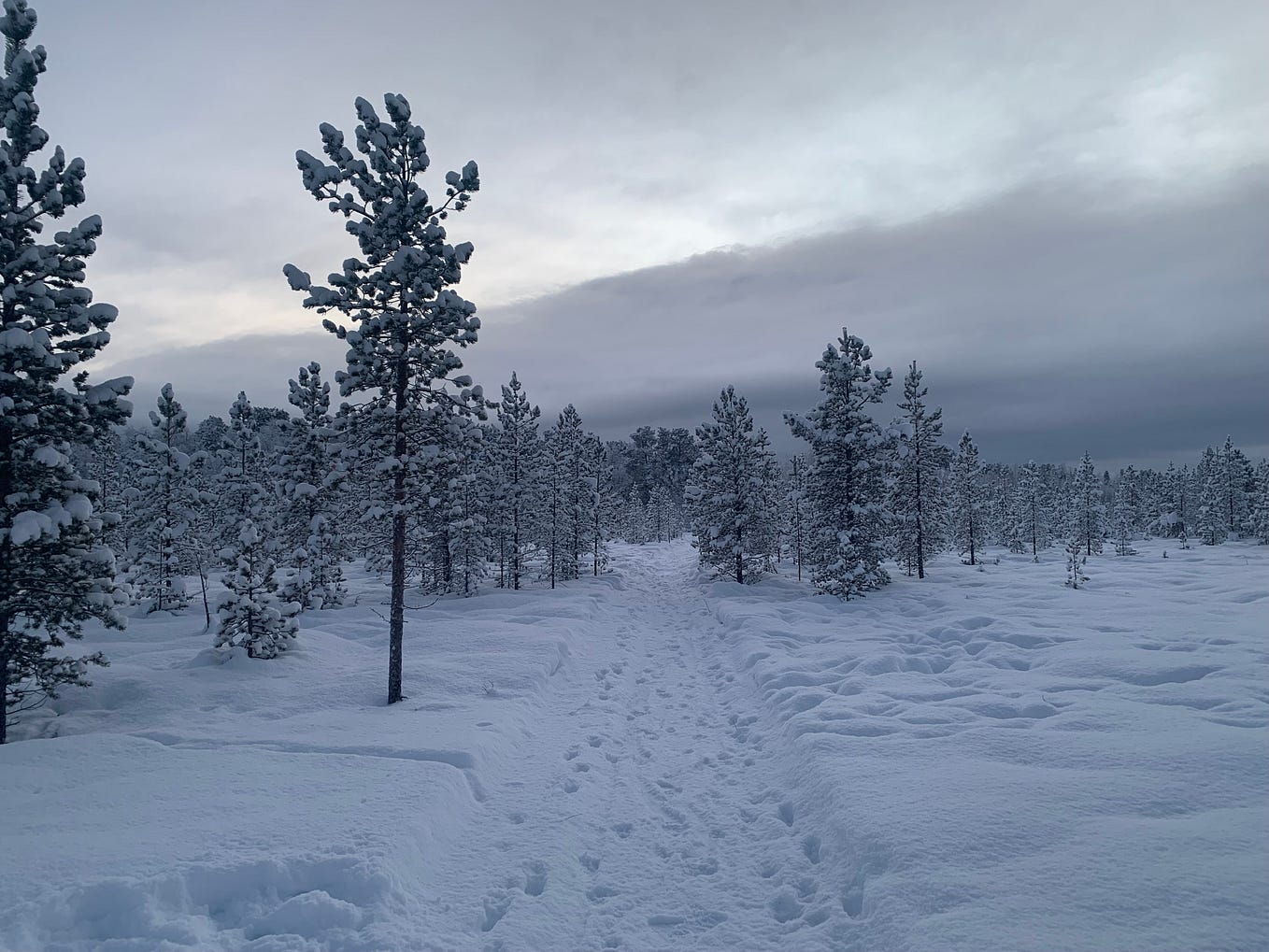 In a Remote Siberian Village, I Experience Rural Life in All Its ...