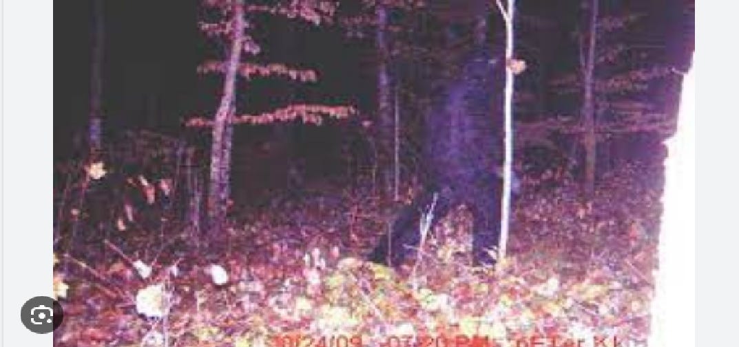 What Are the Physical Traces Left Behind by UFOs? Examining the Delphos ...
