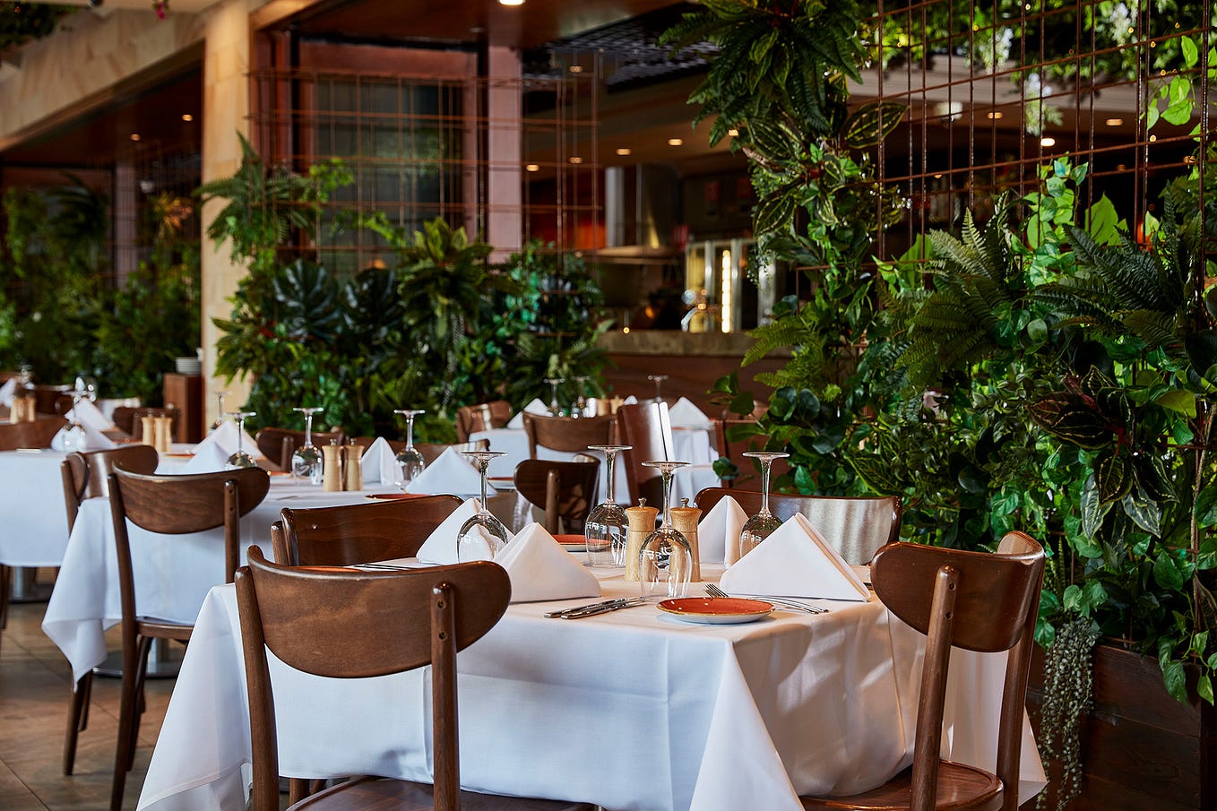 Dynasty Restaurants in Belmore: A World of Chinese Flavors | by ...