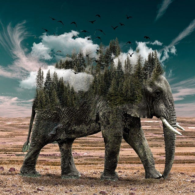 Apacha Kafka dla początkujących.. TL;DR W artukule znajdziesz podstawowe… | by Tomasz Gintowt ...