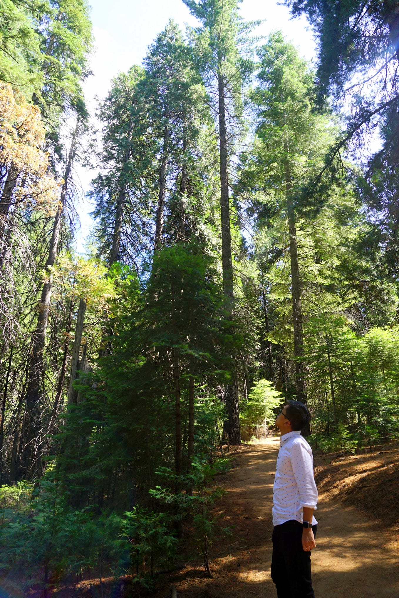 What imperfections do you secretly love in your better half? | by ...