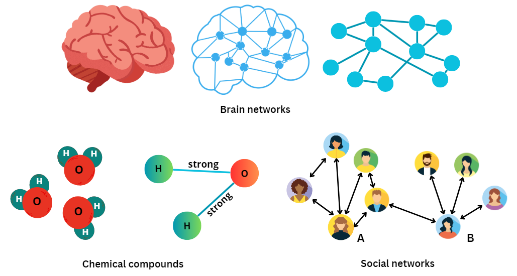 Brain Network Visualization