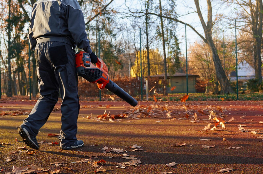 Clearing The Path: Tree Removal, Brush Removal, And Land Clearing in ...