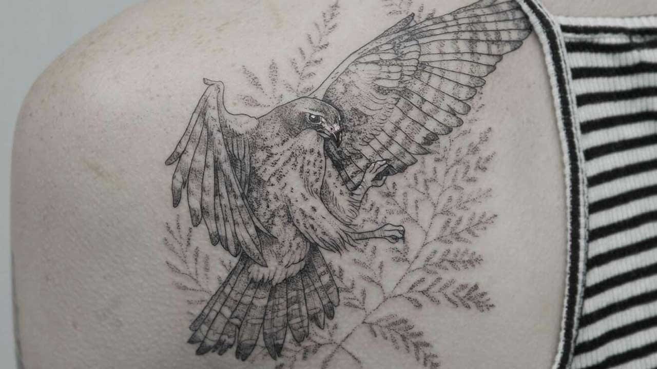 Peregrine Falcon Tattoo