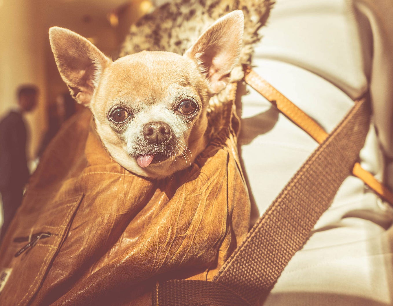 58 bytes of CSS to look great nearly everywhere | by Joey Burzynski ...