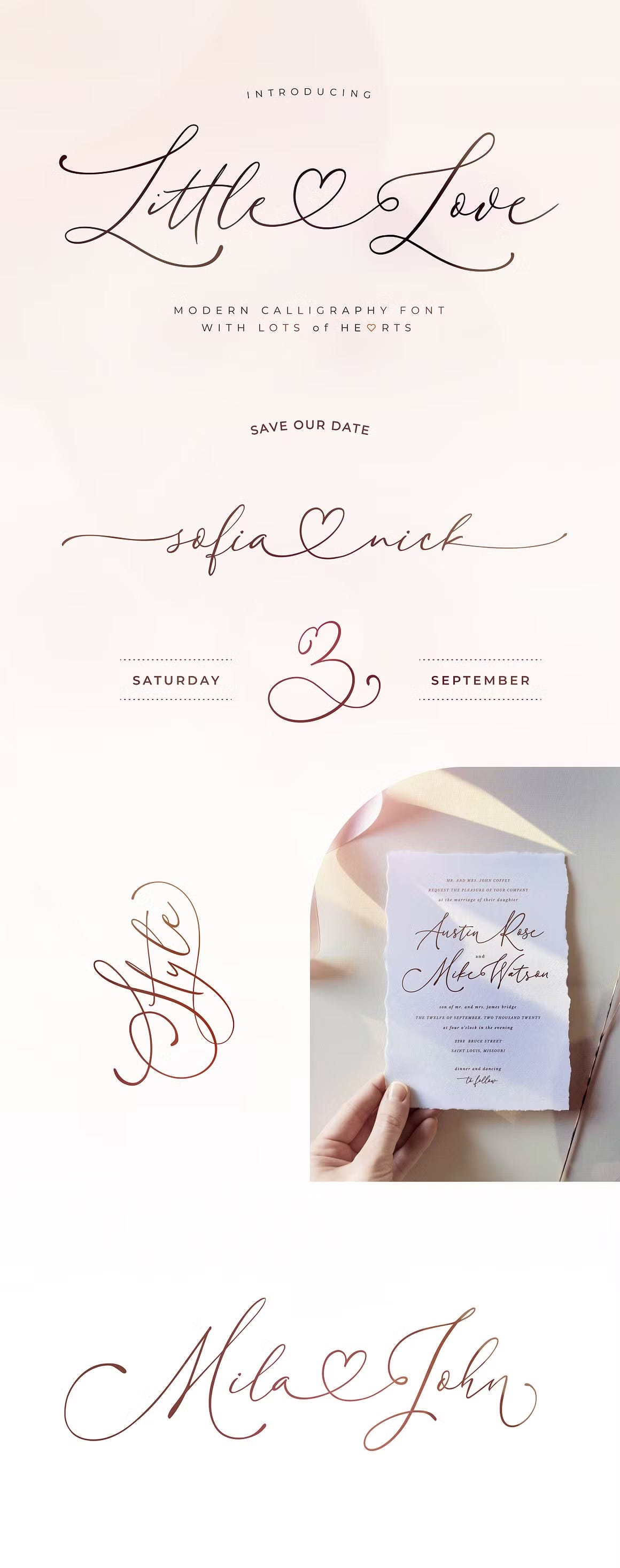 Silene Elegant Serif Typeface - Lily Cruz - Medium