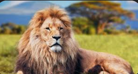 Introduction to Biology. The scientific study of life is called… | by ...