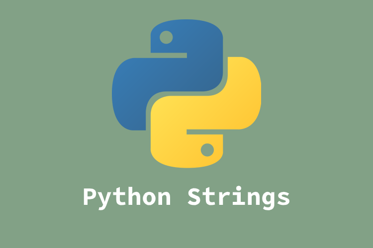 Learn the Basics of Python: Operators | by JP Cost | May, 2025 | Medium