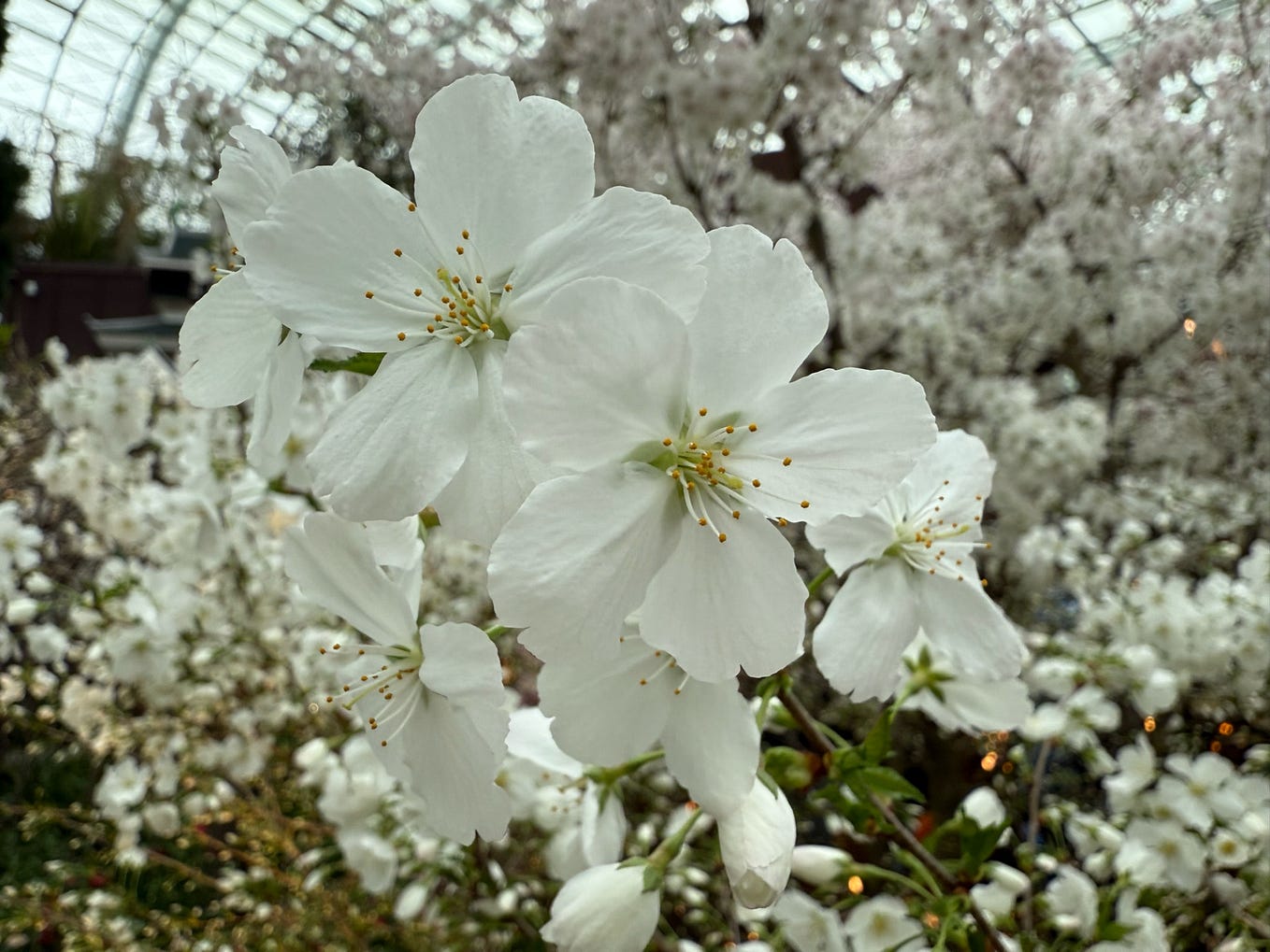 Real is Rare, Fake is Everywhere. The Value of Authenticity in a World of… | by Noreen Qasim ...