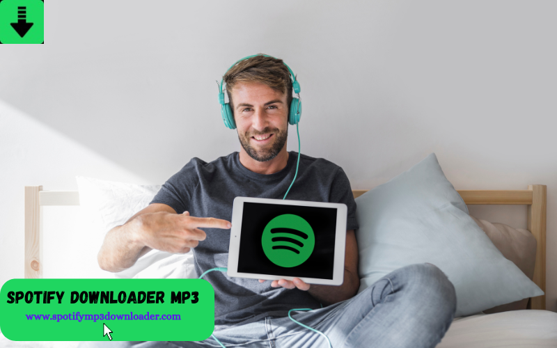 How to Download Spotify MP3: The Ultimate Guide to Spotify Downloader ...