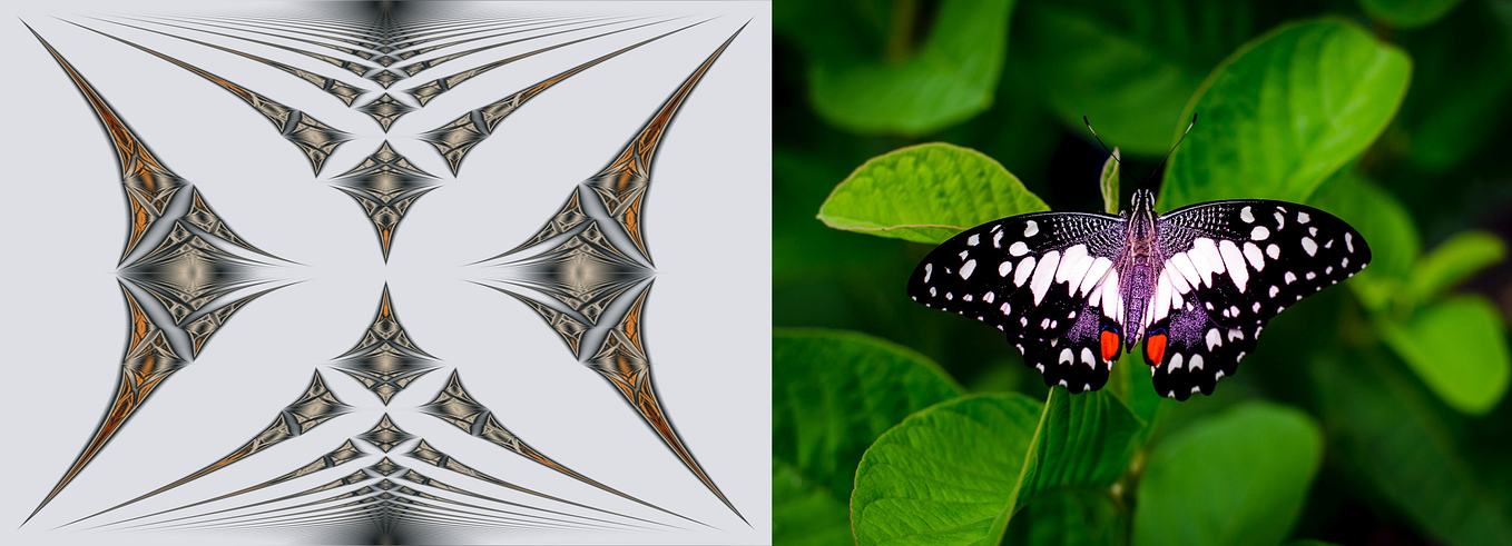 How to Plot Hofstadter Butterfly Fractal in Python | by Umut Can Turhan ...