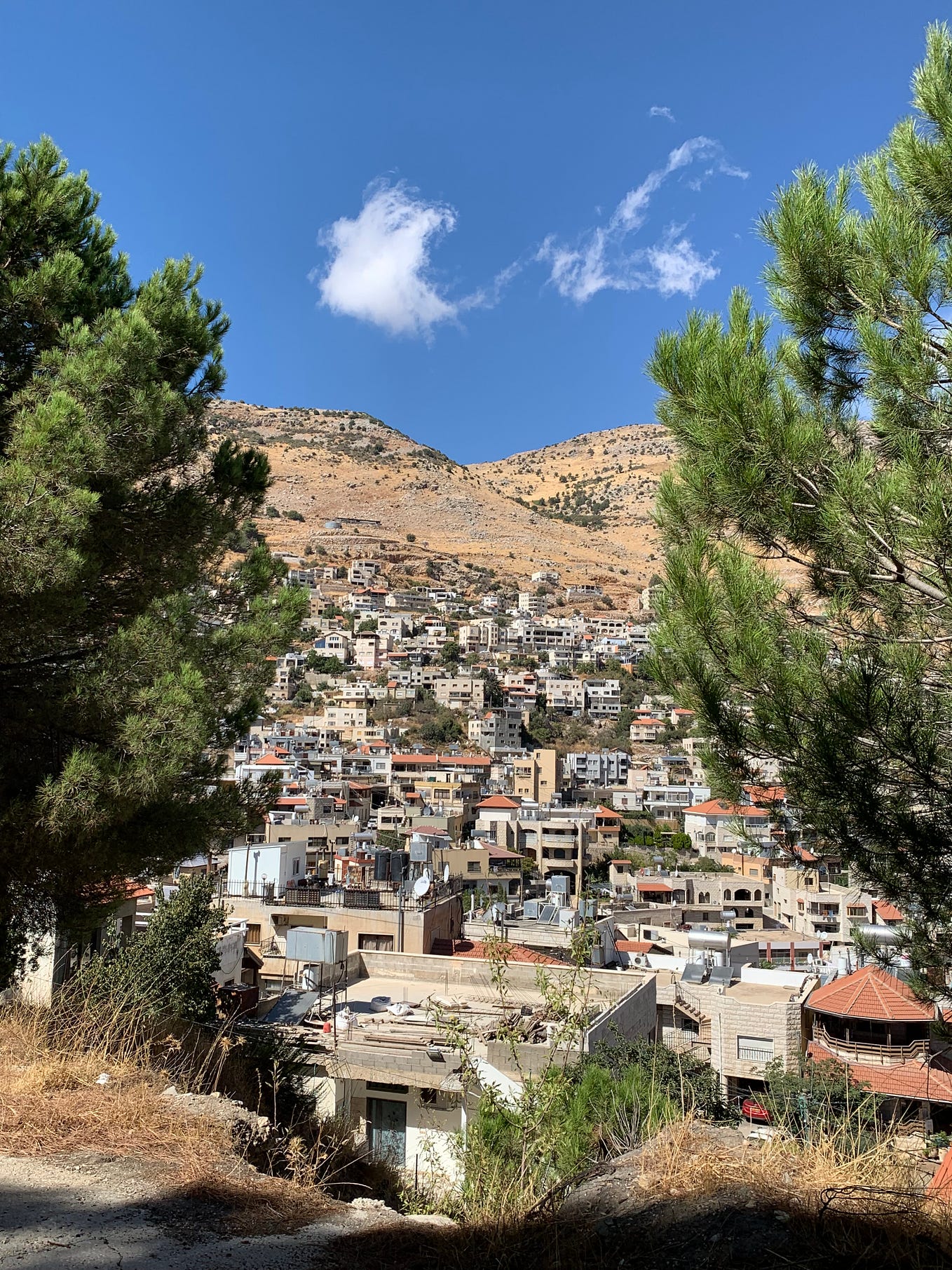 Facts. They suffer from GDS Gaddafi Derangement Syndrome. They can’t bring receipts 🧾 of ...