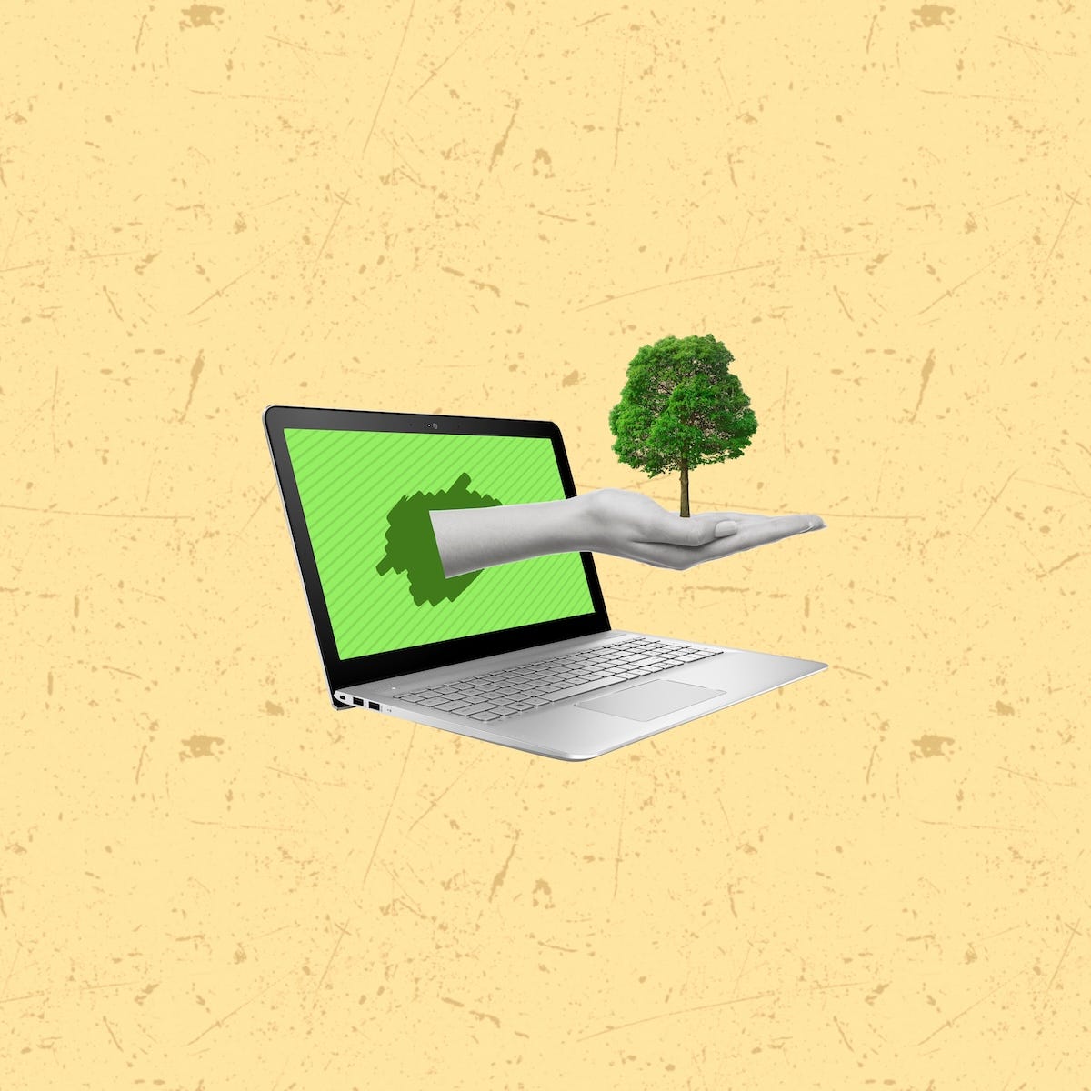 The future of sustainability messaging? | Medium