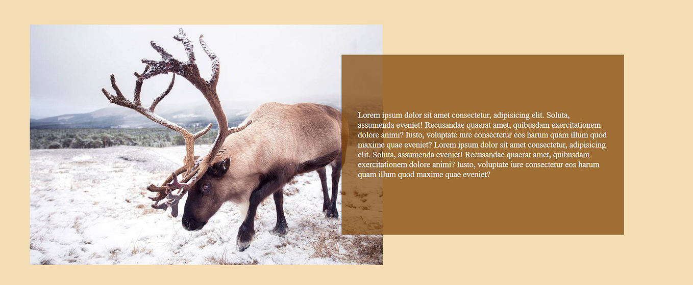 Recreating Marquee Loop Animation with CSS | Medium