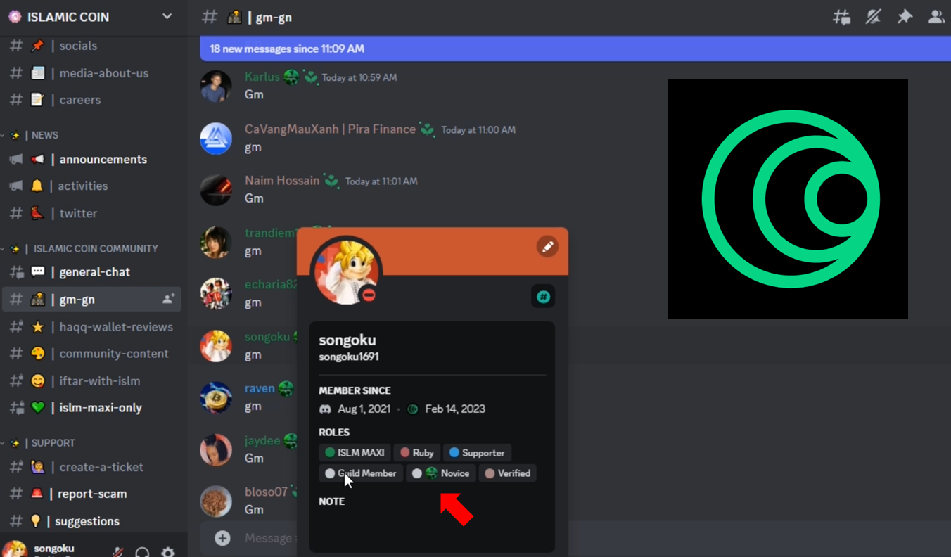 How to get Supporter Role in Islamic Coin Discord? | by Songoku | Medium