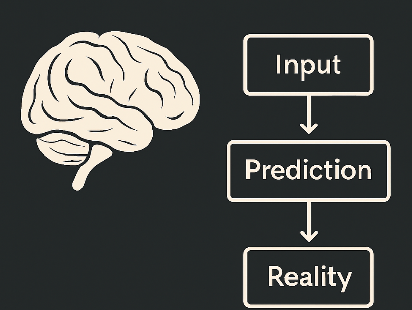 Slytherin House: A Visual Cortex Engine With Episodic Recall | by Özlem ...