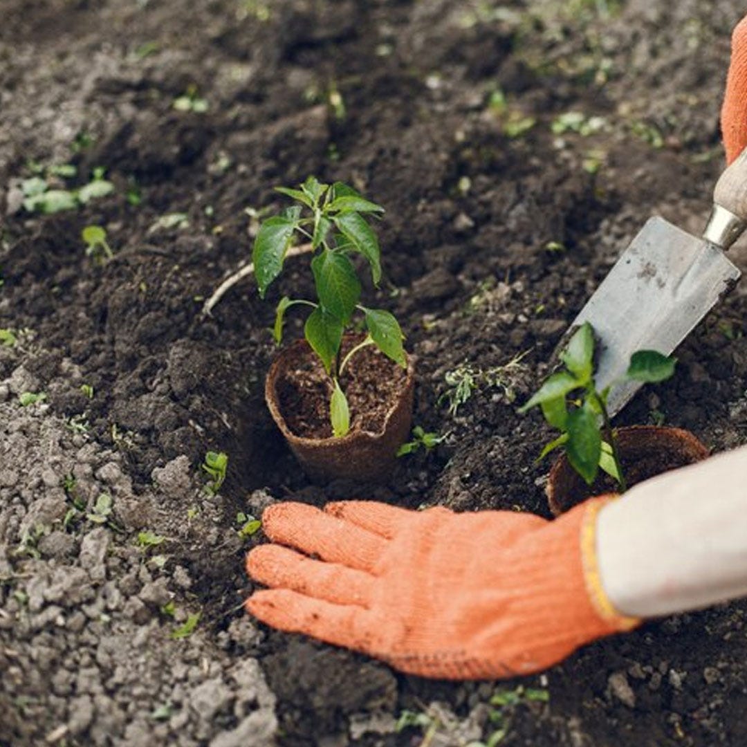Transform Your Landscape with Professional Mulch Installation: A ...