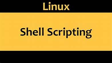 #90DaysOfDevops Challenge. Advanced Linux Shell Scripting for… | by Aaditya Ranadive | Oct, 2024 ...