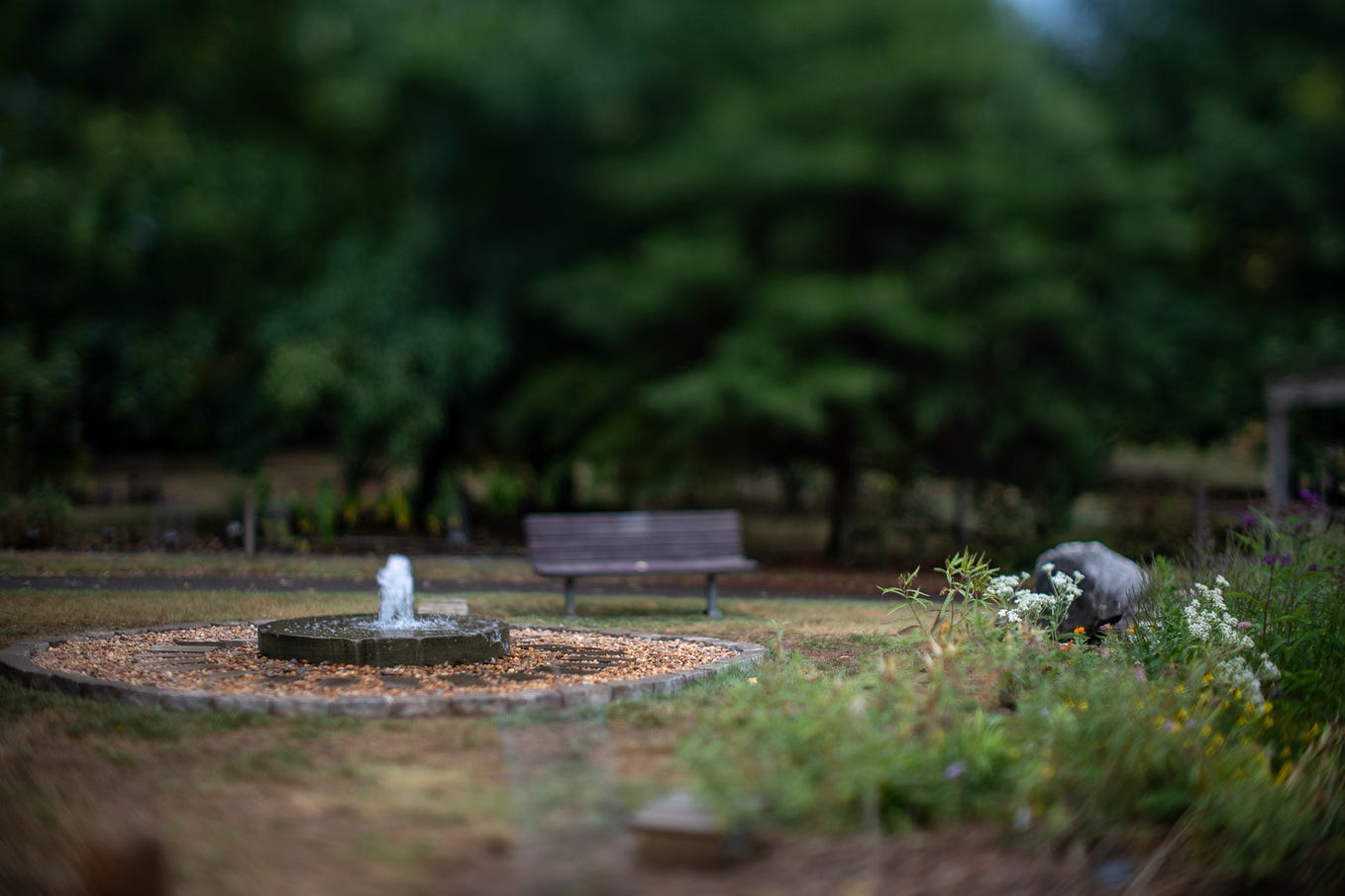 Drawing A Triangle In Vanilla Webgl By Nathan K Javascript In Plain English