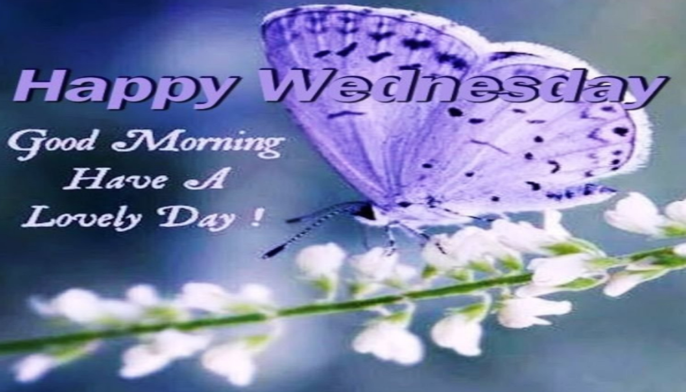 Best 25 Happy Wednesday Meme To Share | by Erica Gray | Medium