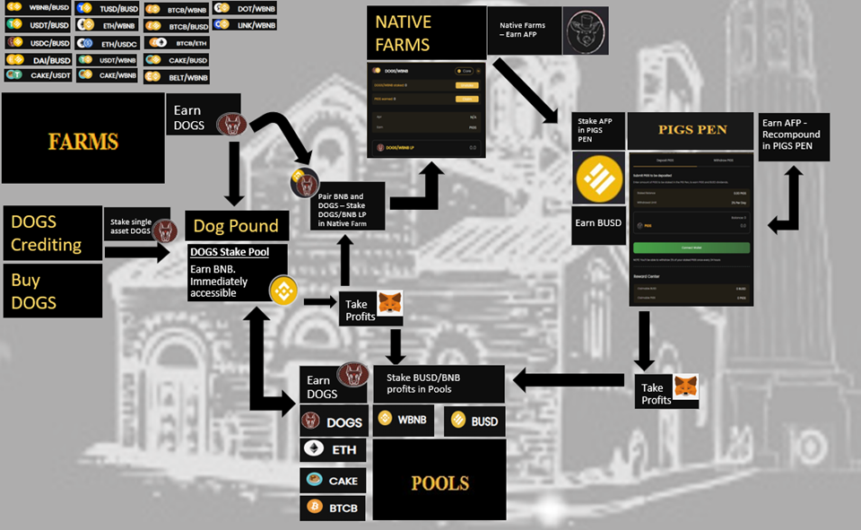 ANIMAL FARM STRATEGY GUIDE — PART 1 | by DefiNight | Cryptozoa