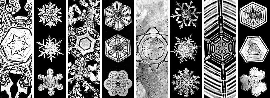 A Graphical Guide to the Geometry of Nature (and the Nature of Geometry ...