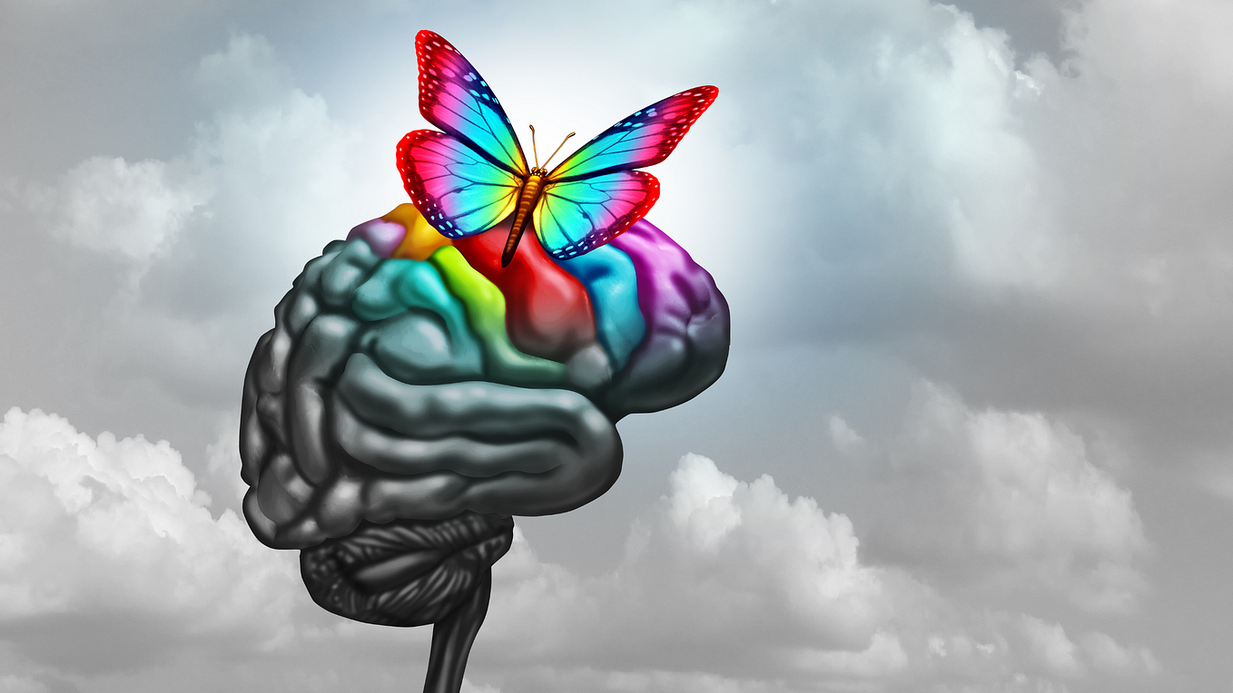 Happiness Happiness Happens Month: Embrace Joy and Spread Positivity | by Katie Jefcoat ...